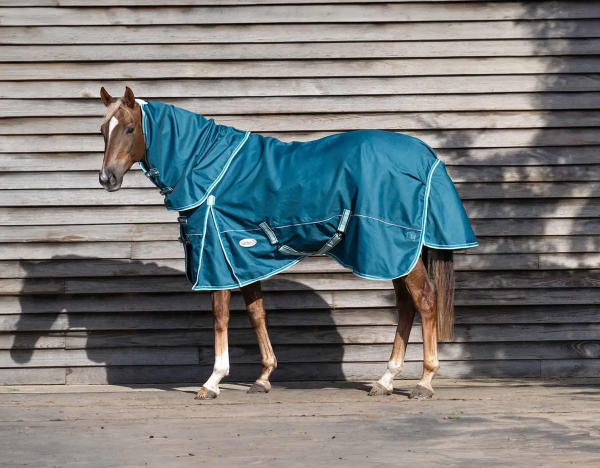 Caribu Eclipse Detach-a-Neck Horse Rainsheet Green – Petstock Country ...