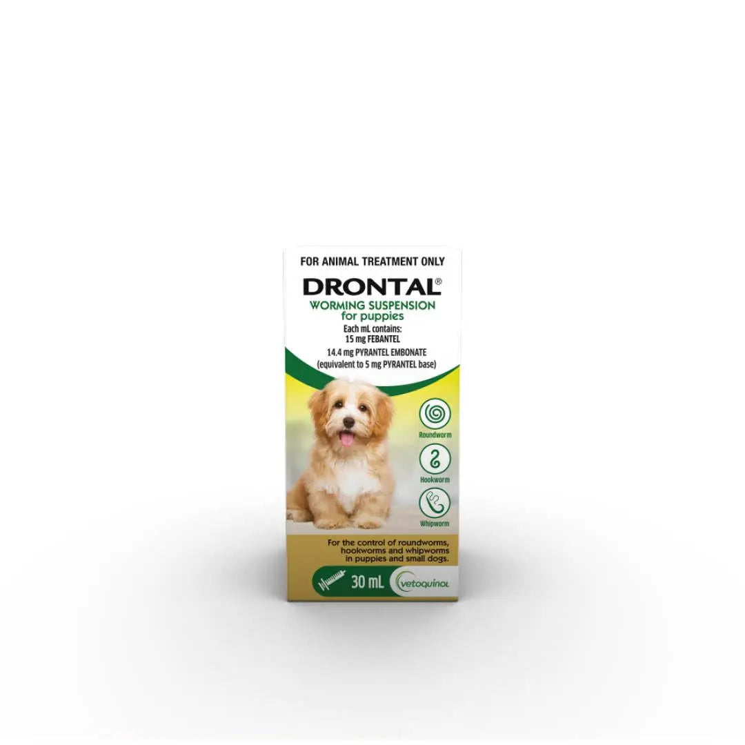Drontal Puppy Worming Suspension 30ml – Petstock Country Brindabella