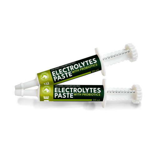 1Equine - Electrolyte Paste with Probiotics – Petstock Country Brindabella