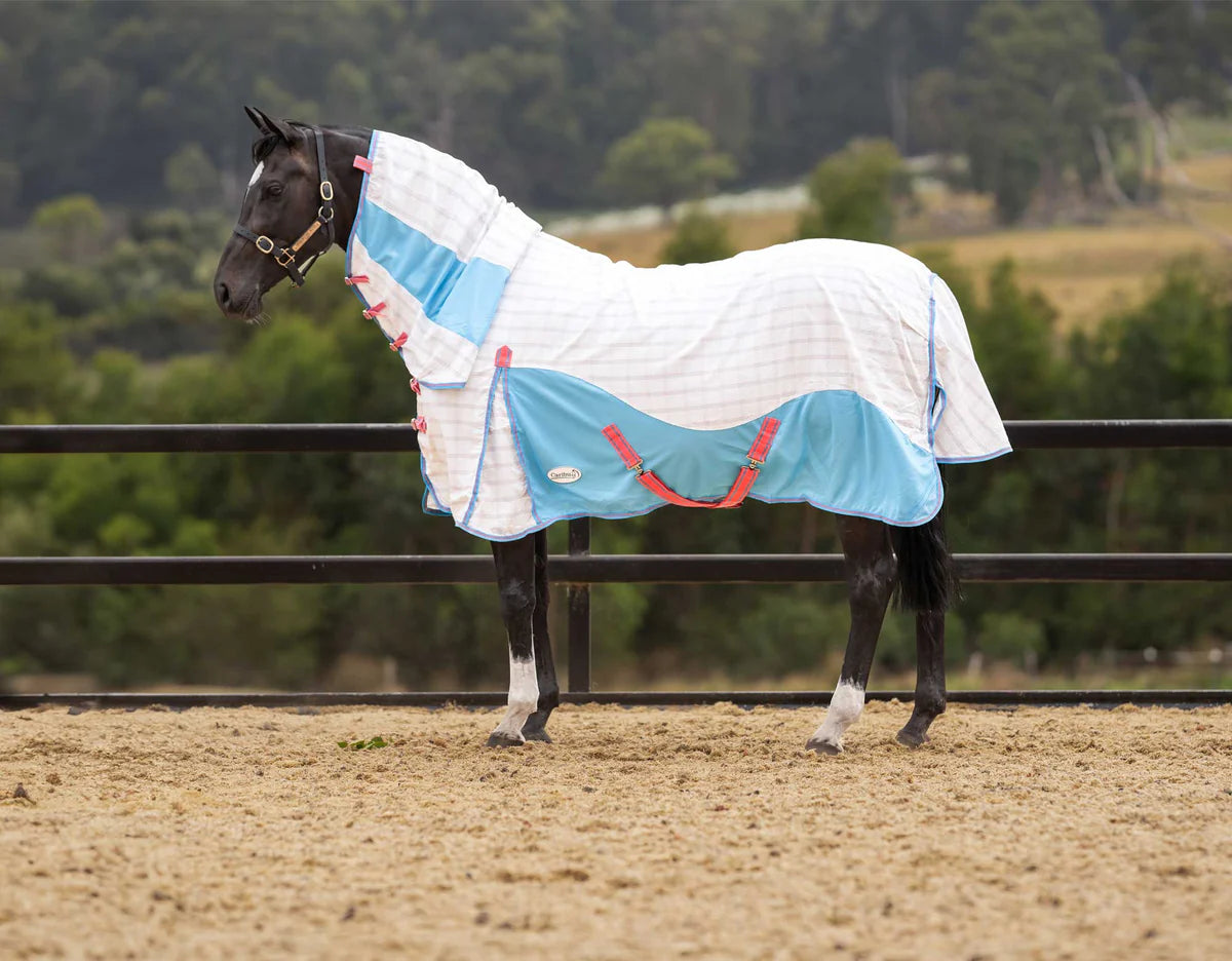 Caribu Alta Hybrid Combo Horse Rug Pacific Rose – Petstock Country ...