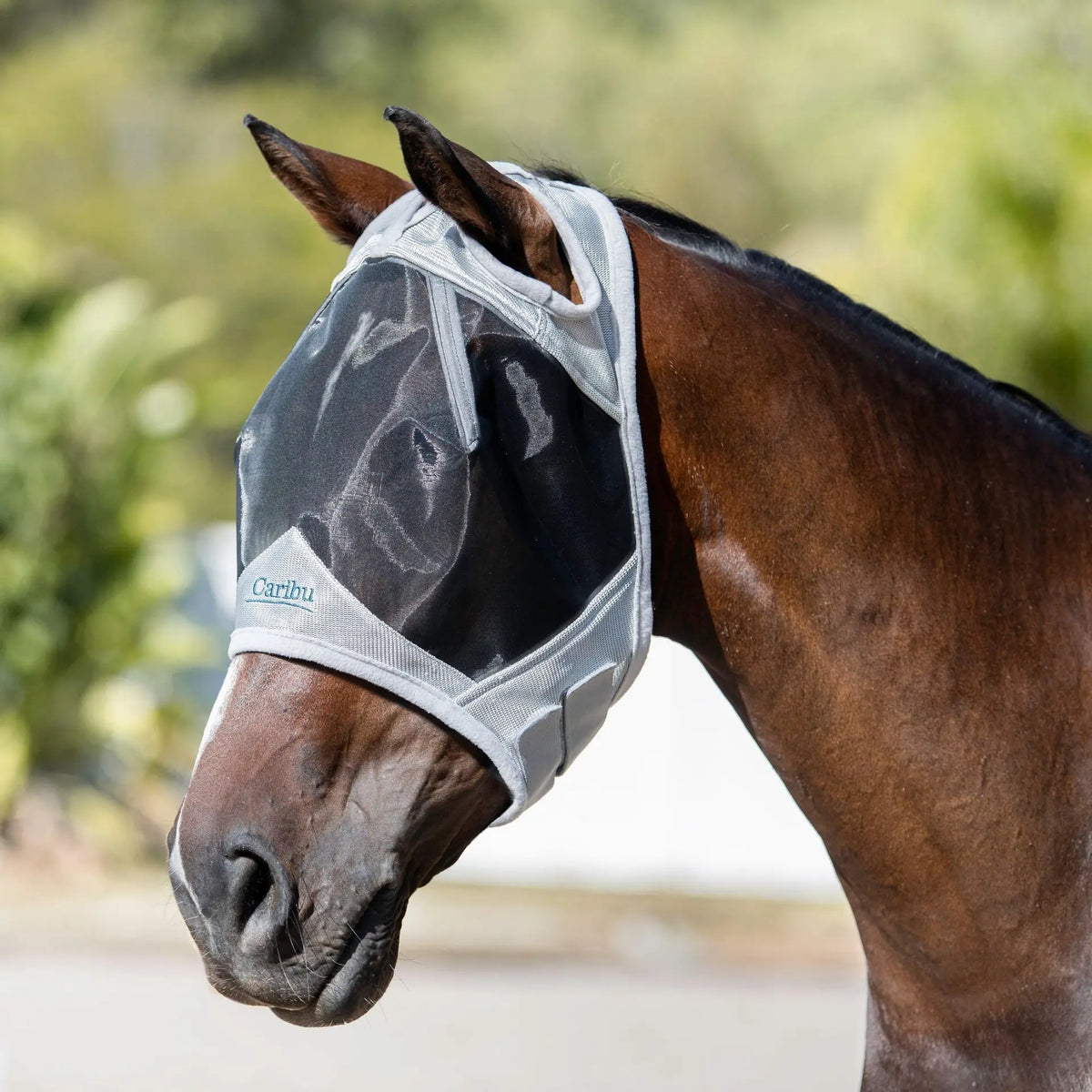 Caribu Deluxe Horse Fly Mask – Petstock Country Brindabella