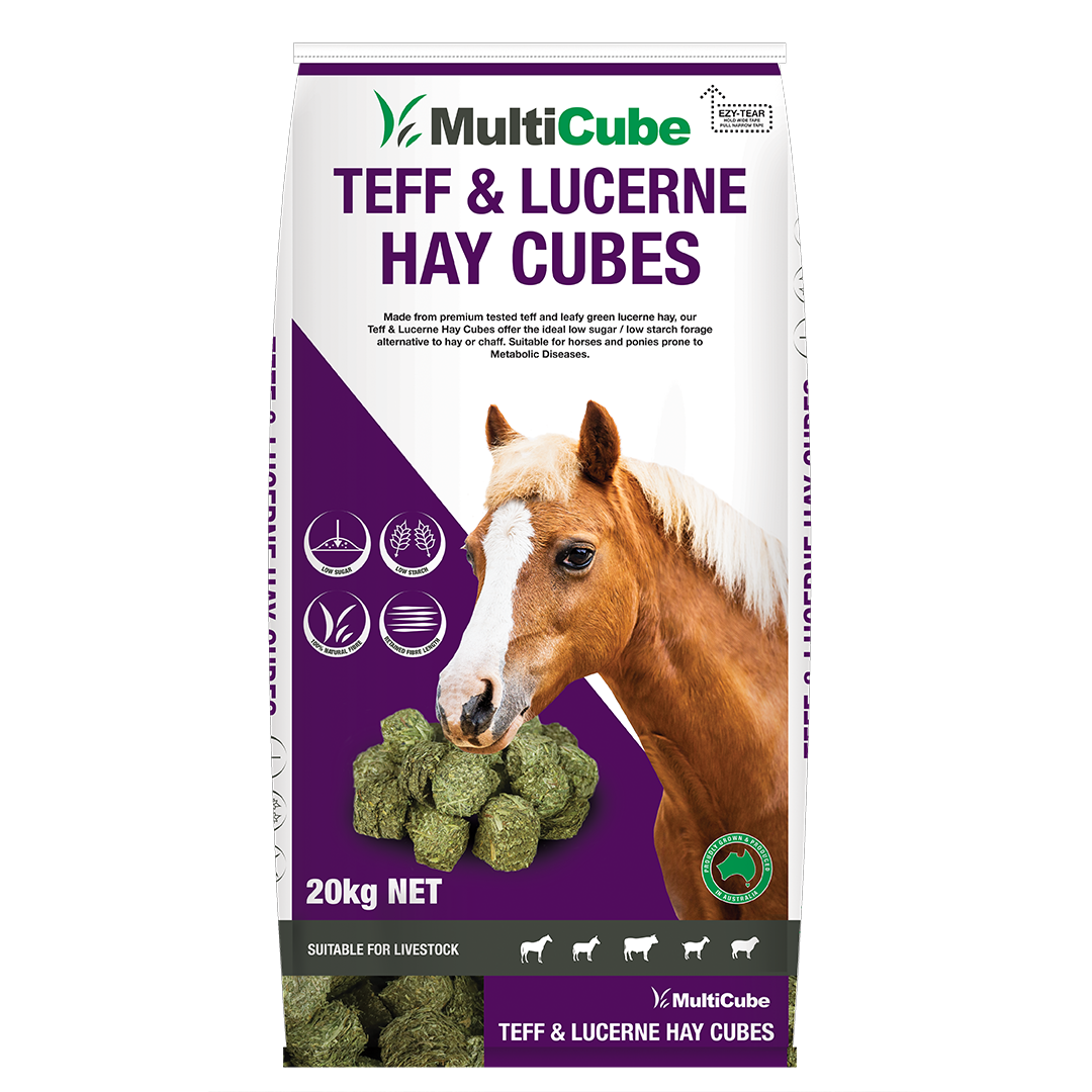 MultiCube - Teff & Lucerne Hay Cubes 20kg – Petstock Country Brindabella